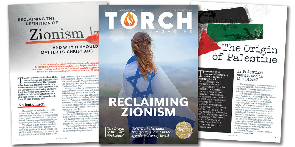 TORCH-Issue#11-spread