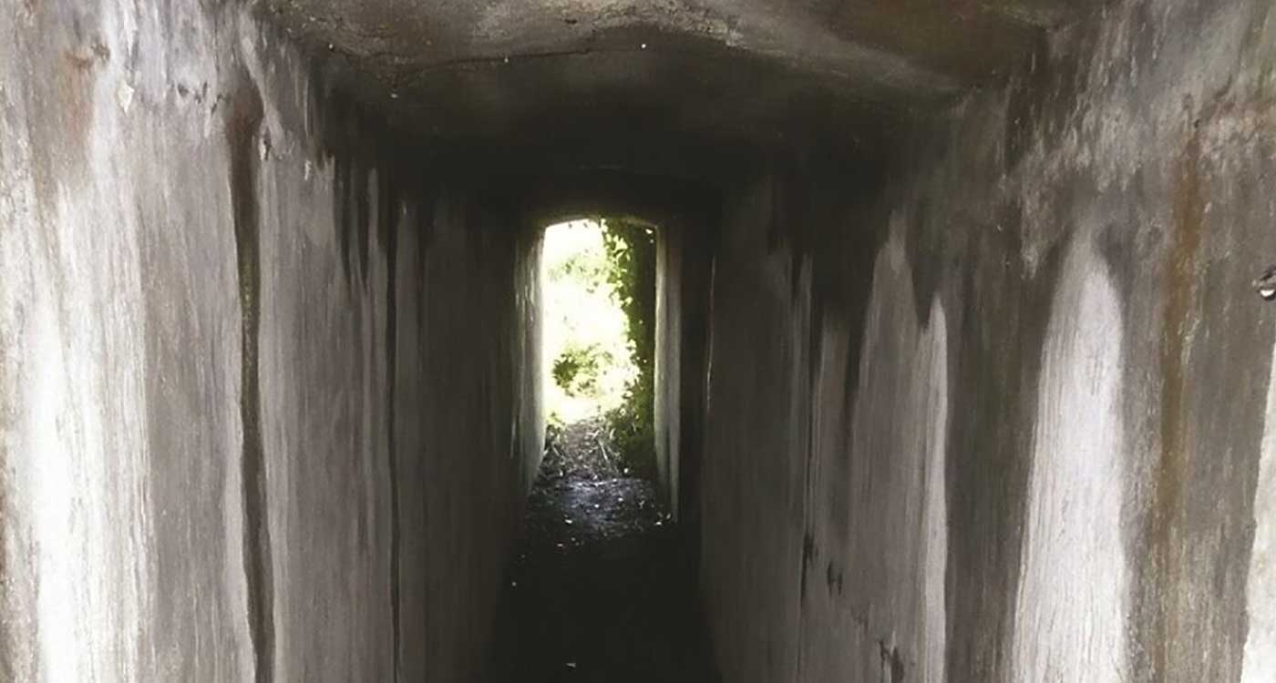 "The most terrible camp": After 80 years, cruelty of SS site on British ...