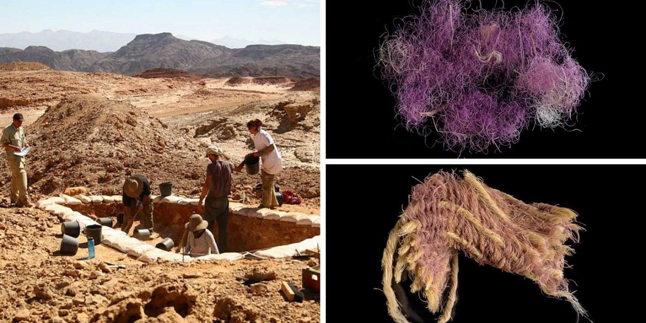 Biblical 'royal' purple dyed cloth found in Israel, dates to King David ...