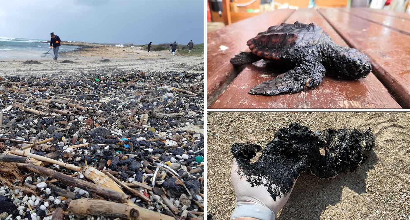 Israel suffers ecological disaster after offshore oil spill